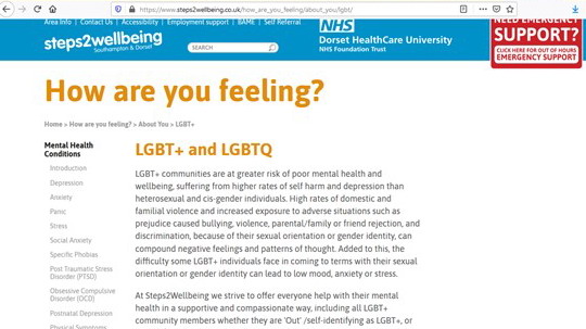NHS Dorset Healthcare Trust – LGB&T Dorset Equality Network, Steps 2 ...